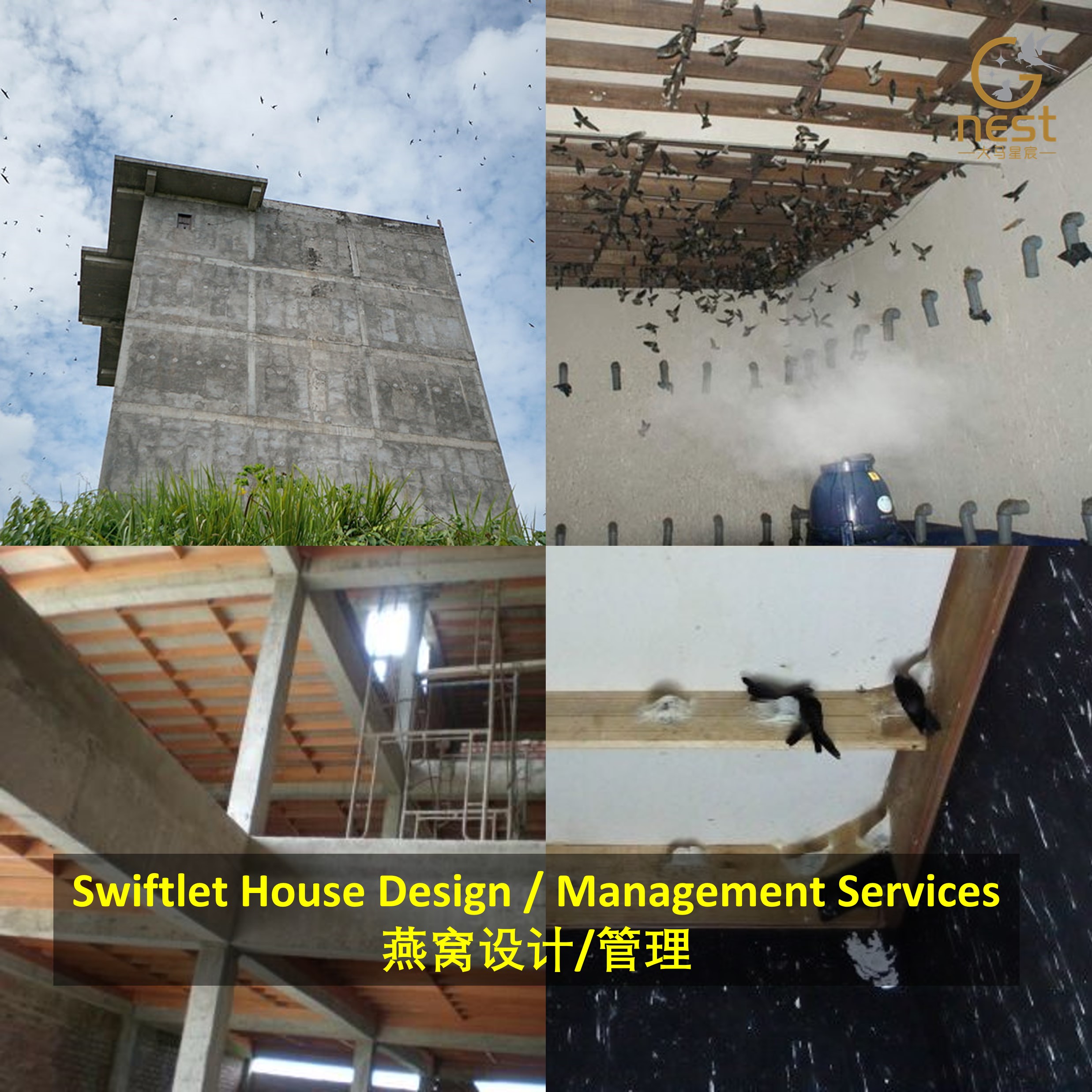 Learn about our services - G Nest 大马星宸